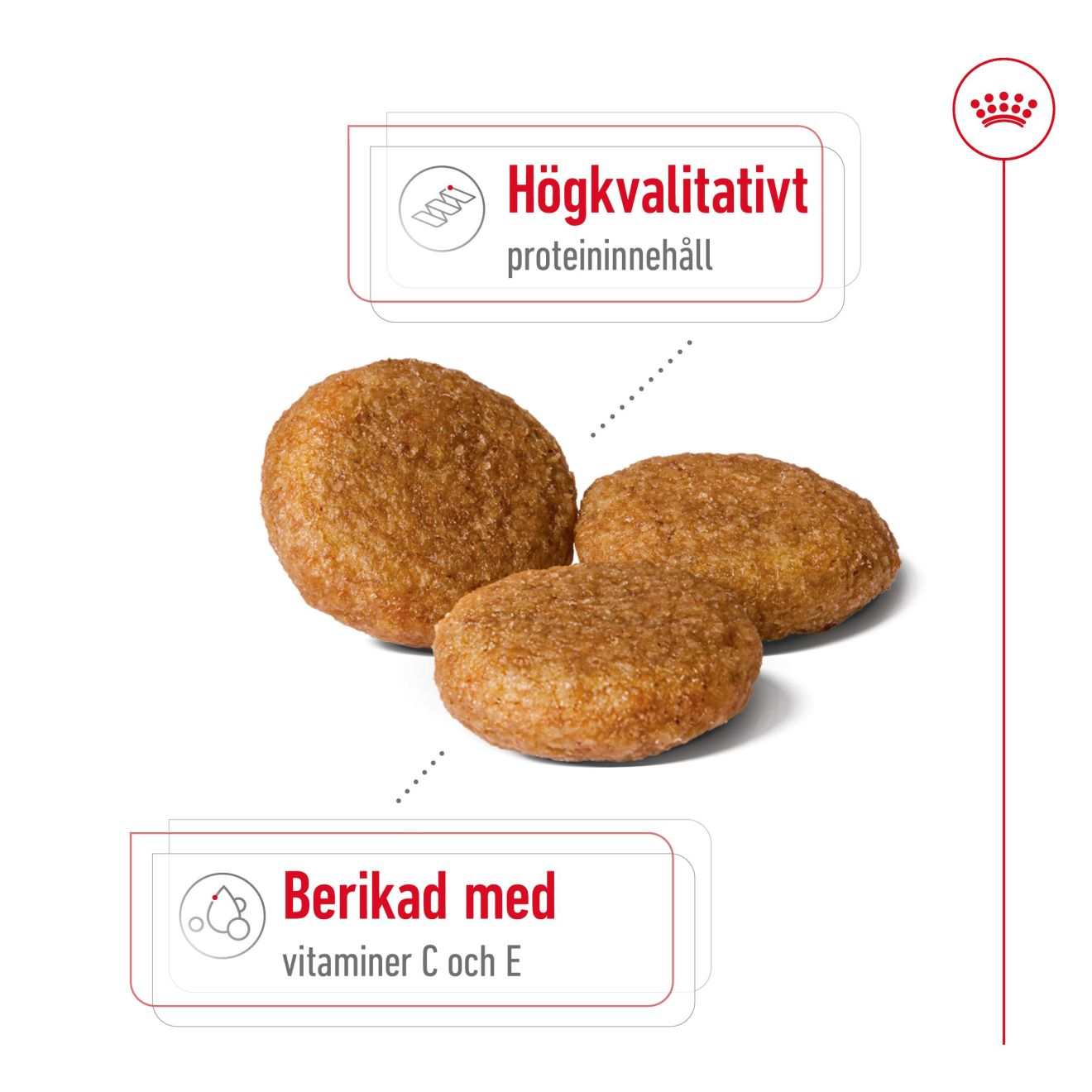 Royal Canin Medium Adult tørrfôr for hunder | PetXL