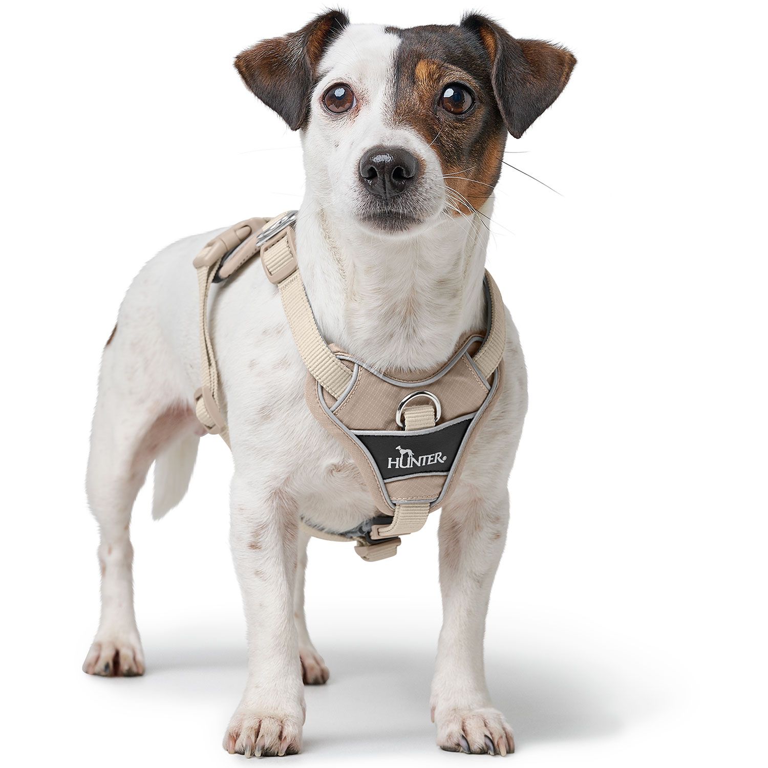 HUNTER DIVO UP - Justerbar hundesele med refleks og polstring