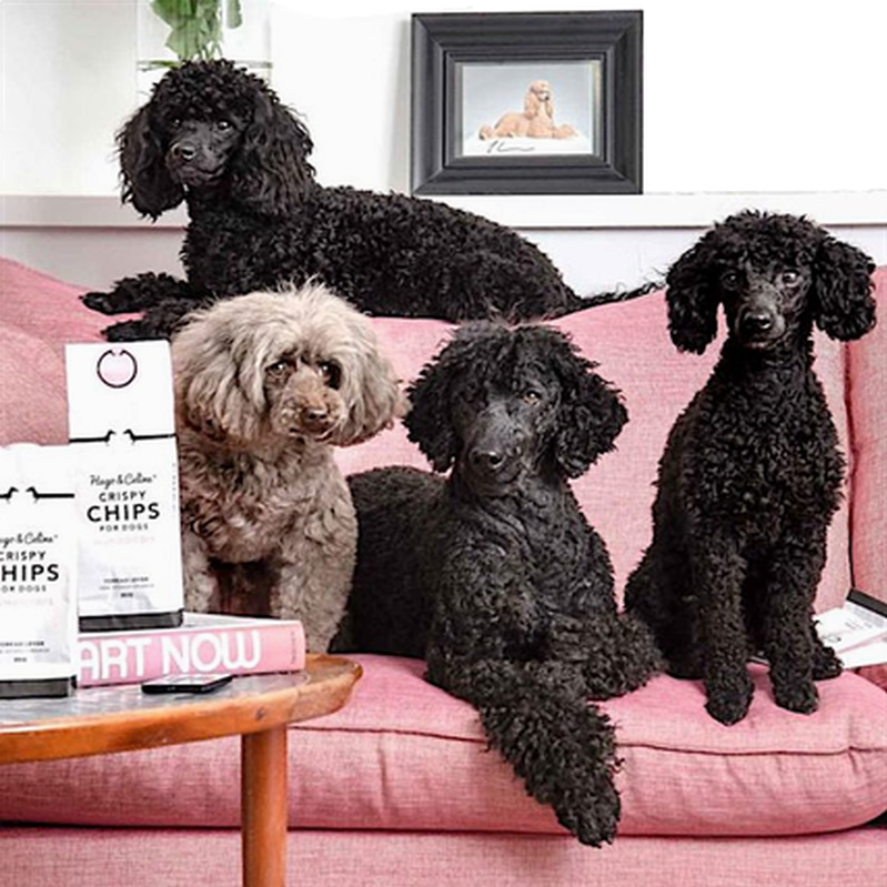 Hugo and Celine Crispy Chips White 80 g | PetXL