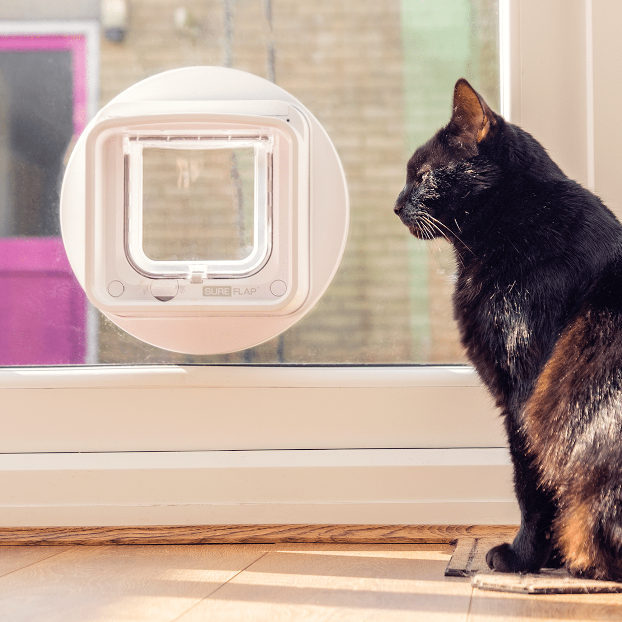 SureFlap Microchip Cat Flap Connect - katteluke + hub | PetXL