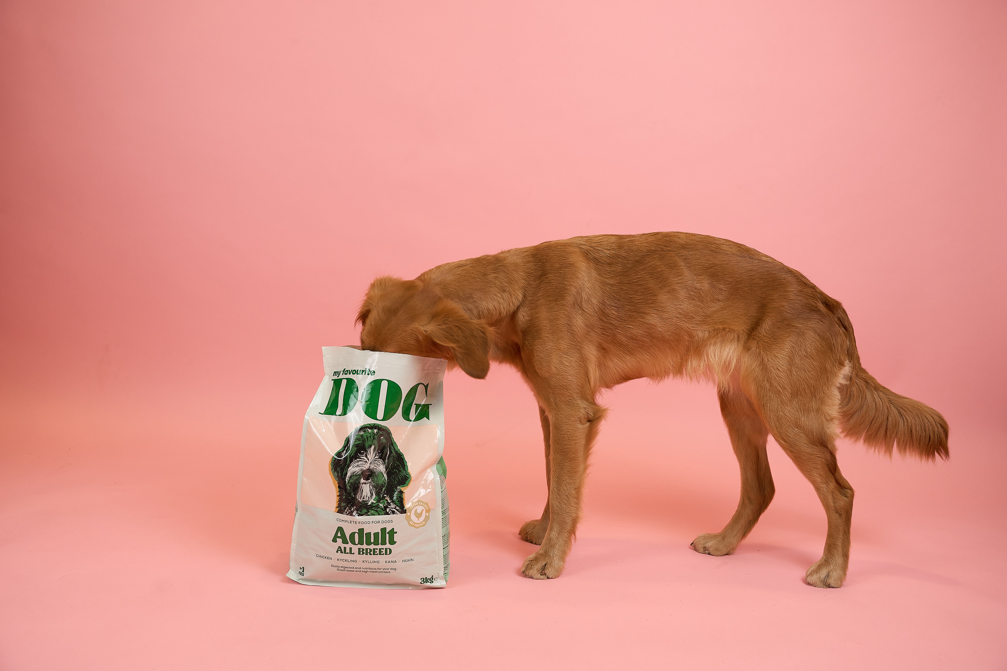 My favourite DOG Adult Dog Regular Kylling | PetXL