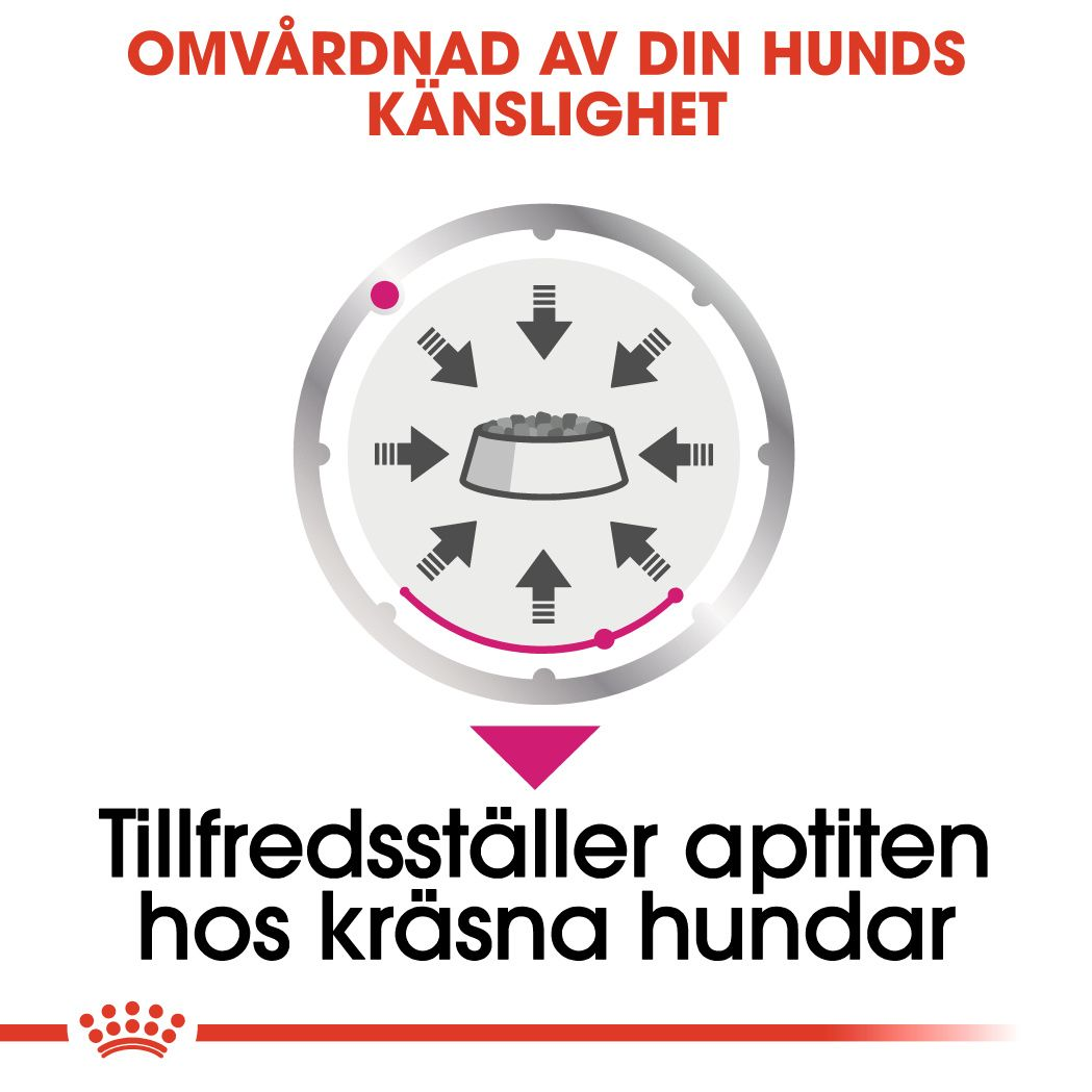 Royal Canin Exigent Adult våtfôr for hunder 12x85 g | PetXL
