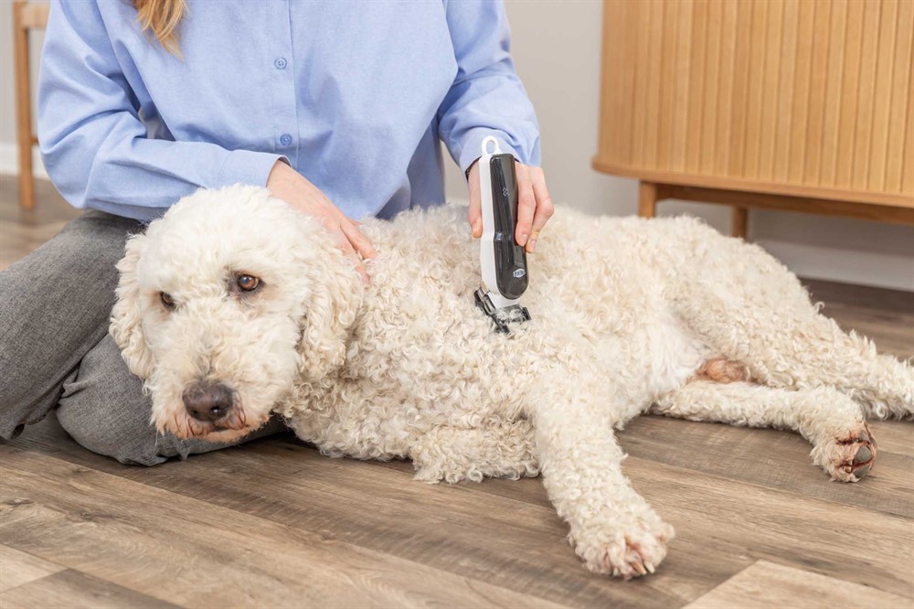 Trixie Trimmer TR1200 batteridrevet, 10 W | PetXL