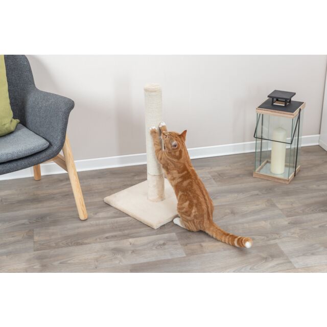 Trixie Batres-skrapepinne, 62 cm, beige | PetXL