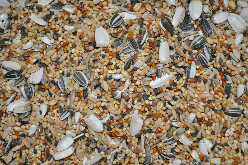 Versele-Laga Prestige Big Parakeet (Parakit) | PetXL